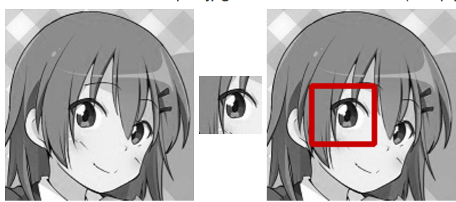 【Python版OpenCV】テンプレートマッチングの実装（SSD、SAD、NCC、ZNCC） | Python超入門部